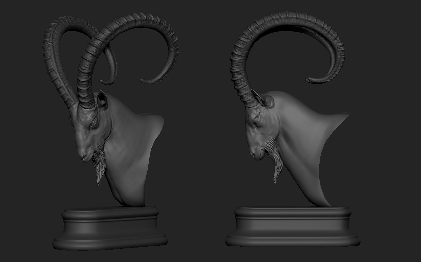 Ibex Head 3D Model - TurboSquid 1974741