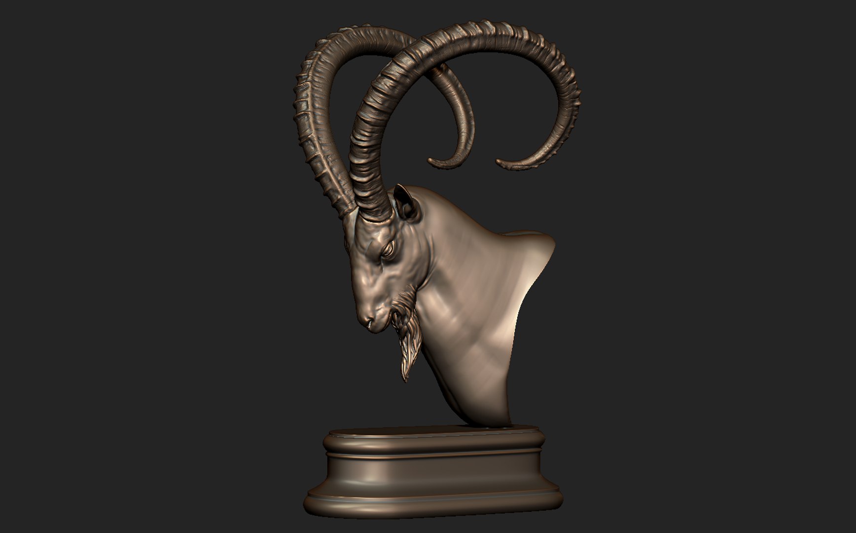 Ibex Head 3D Model - TurboSquid 1974741