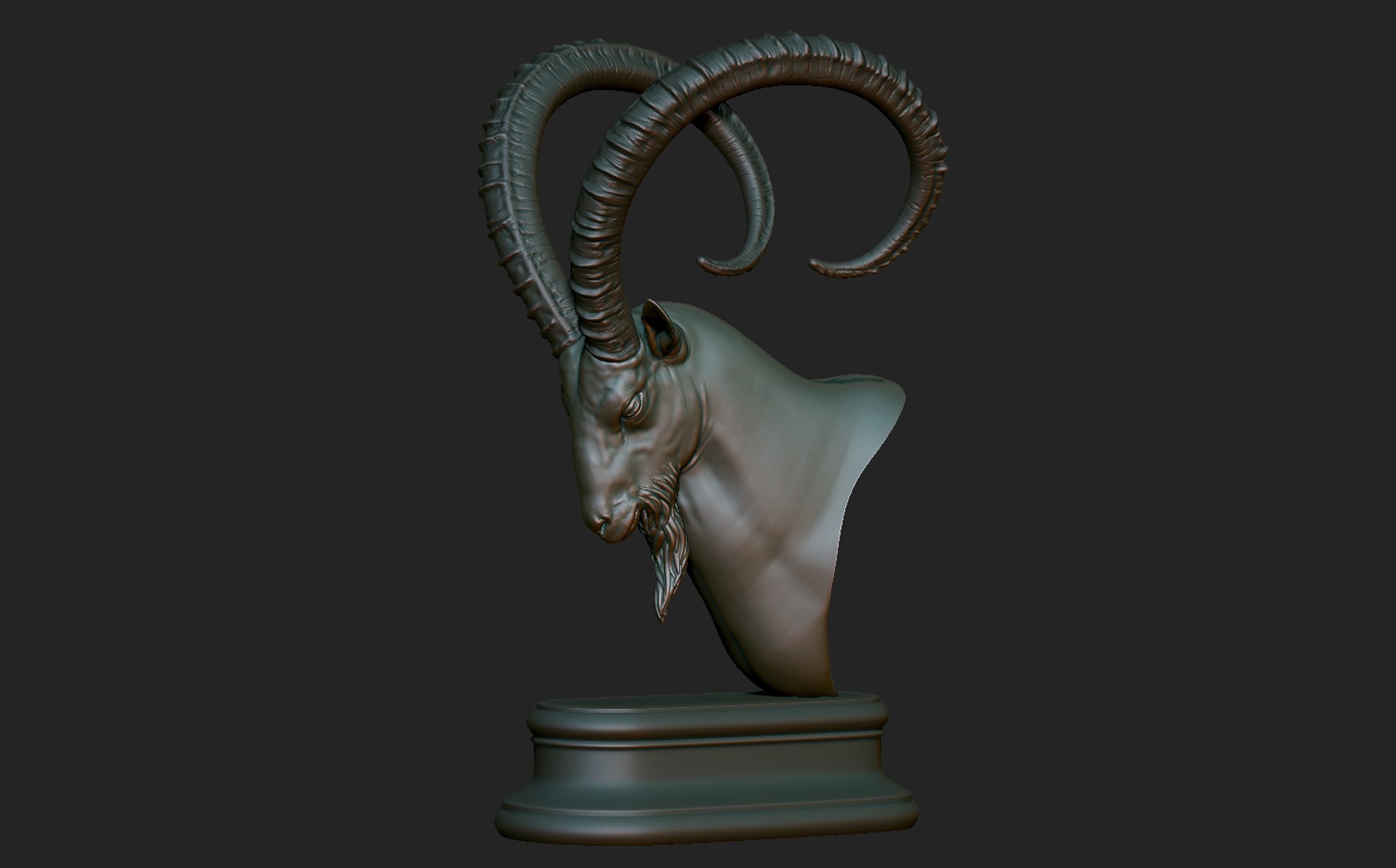 Ibex Head 3D Model - TurboSquid 1974741