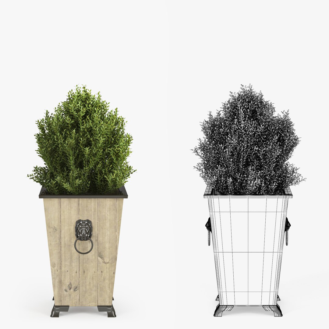 3D Boxwood Box Model - TurboSquid 1228069