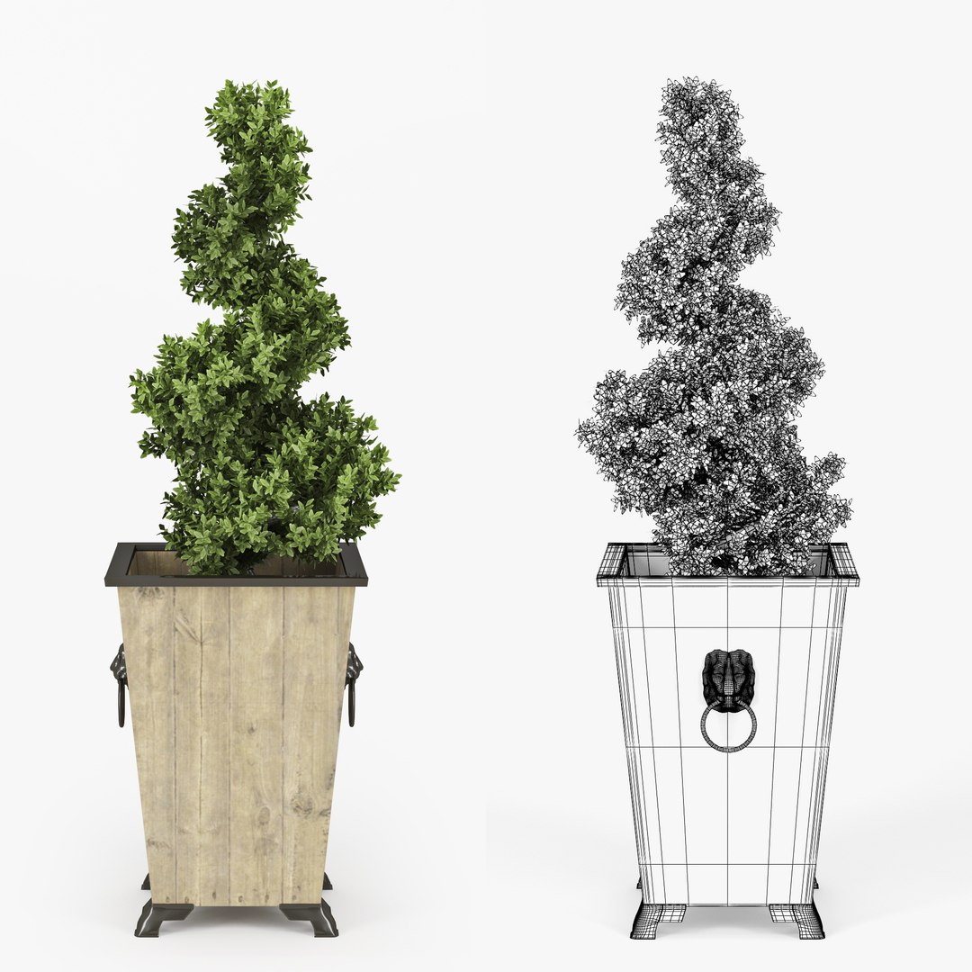 3D Boxwood Box Model - TurboSquid 1228069