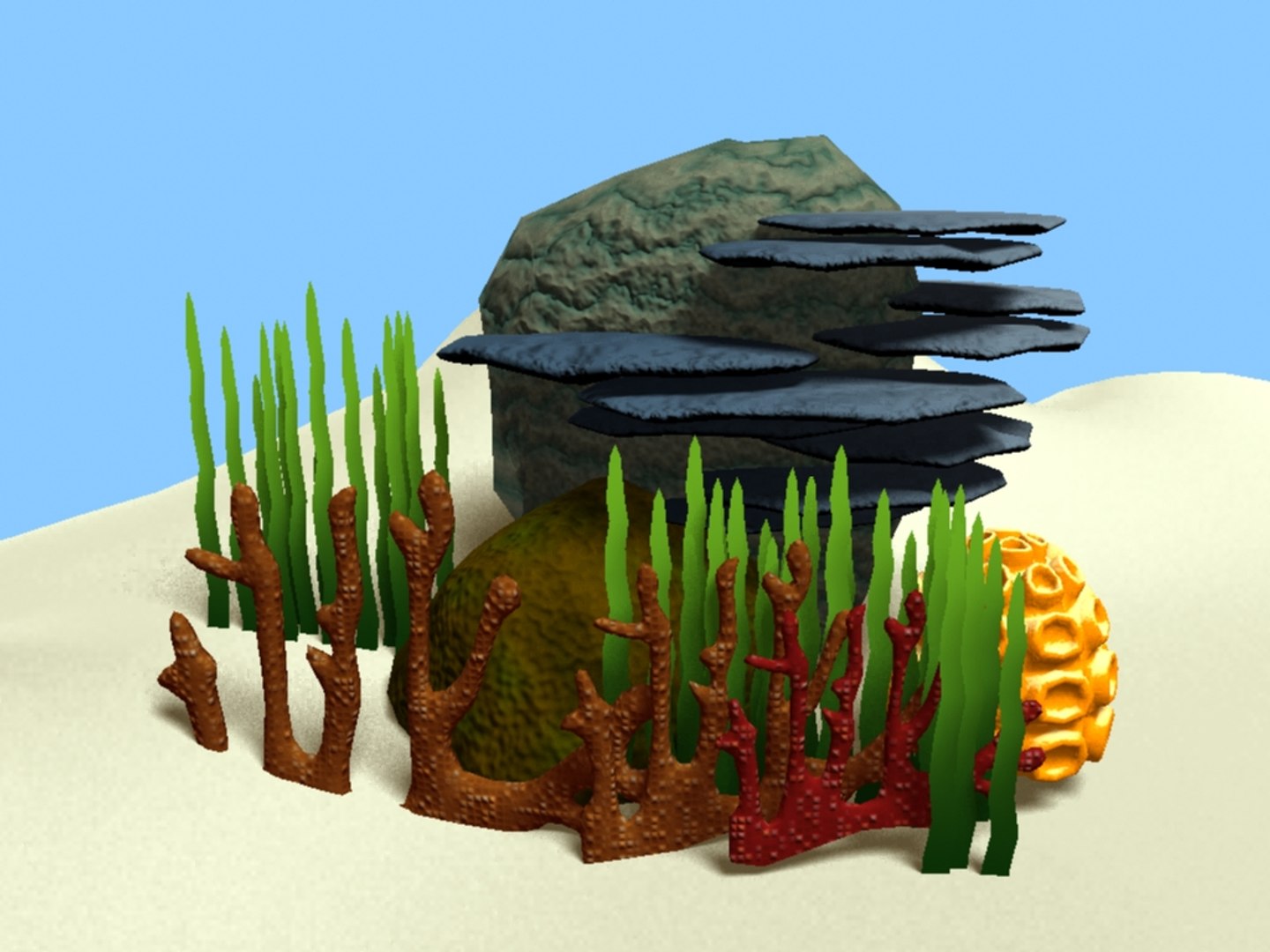 3d corals model