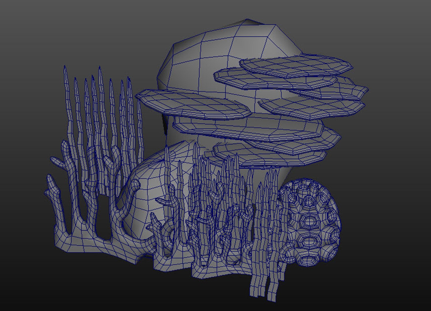 3d corals model
