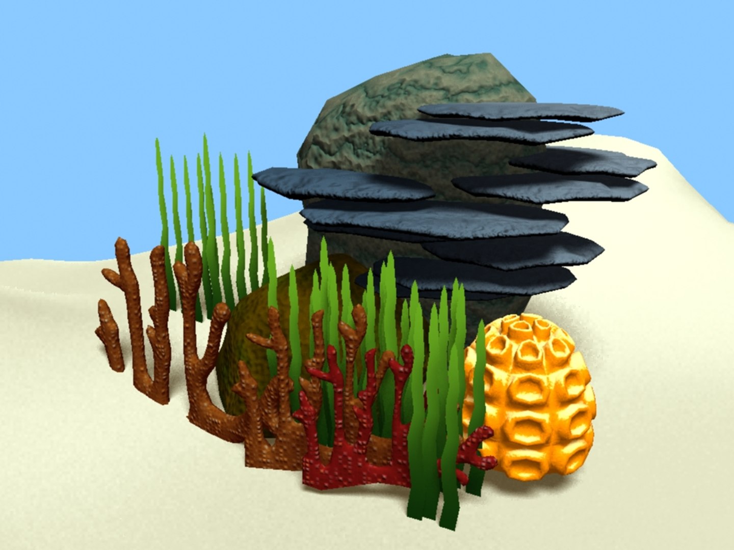 3d corals model