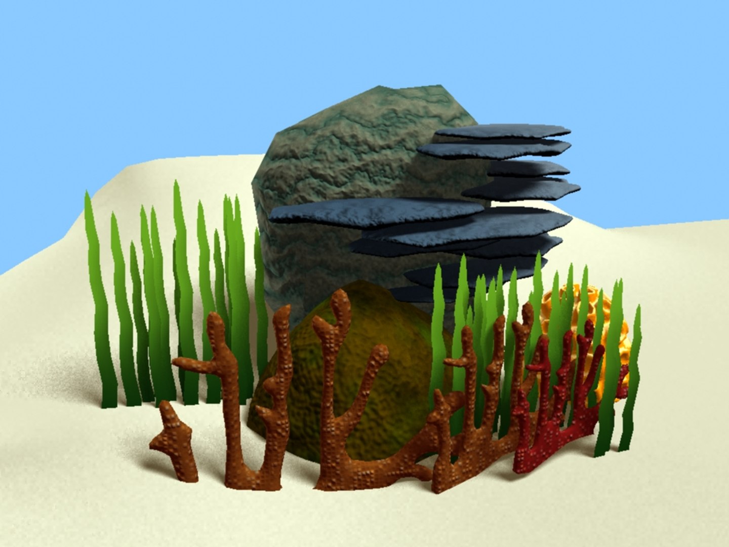 3d corals model