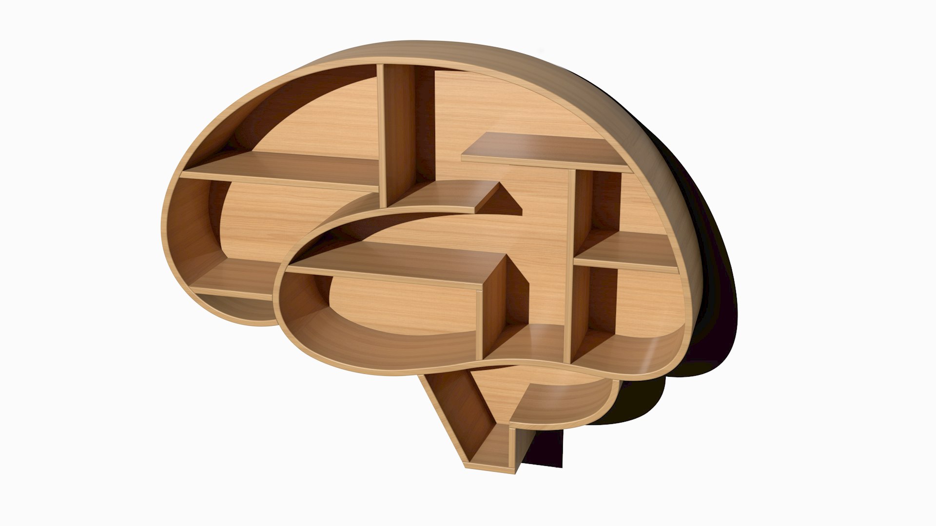 3D Brain Shelves - TurboSquid 1893716