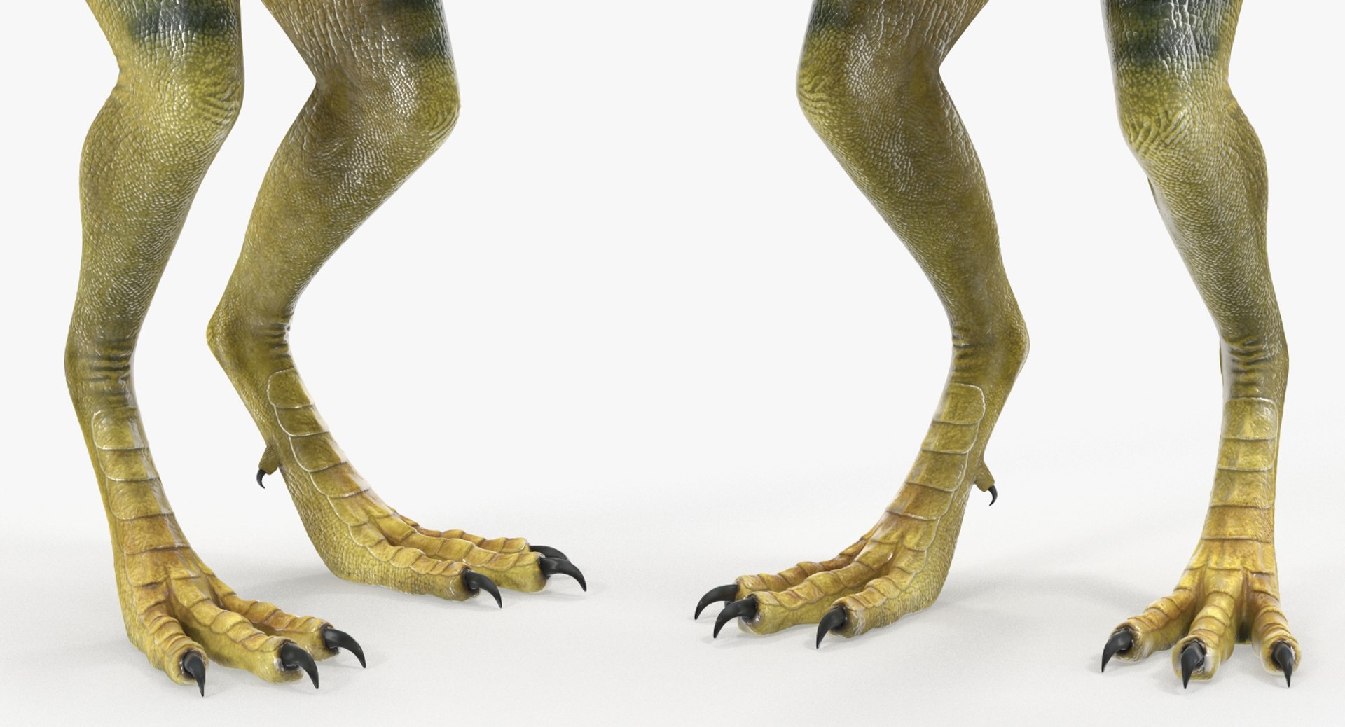 Dinosaur Compsognathus Worried Pose 3D Model - TurboSquid 1285564