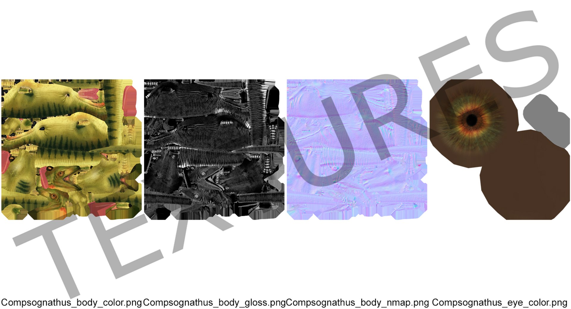 Dinosaur Compsognathus Worried Pose 3D Model - TurboSquid 1285564