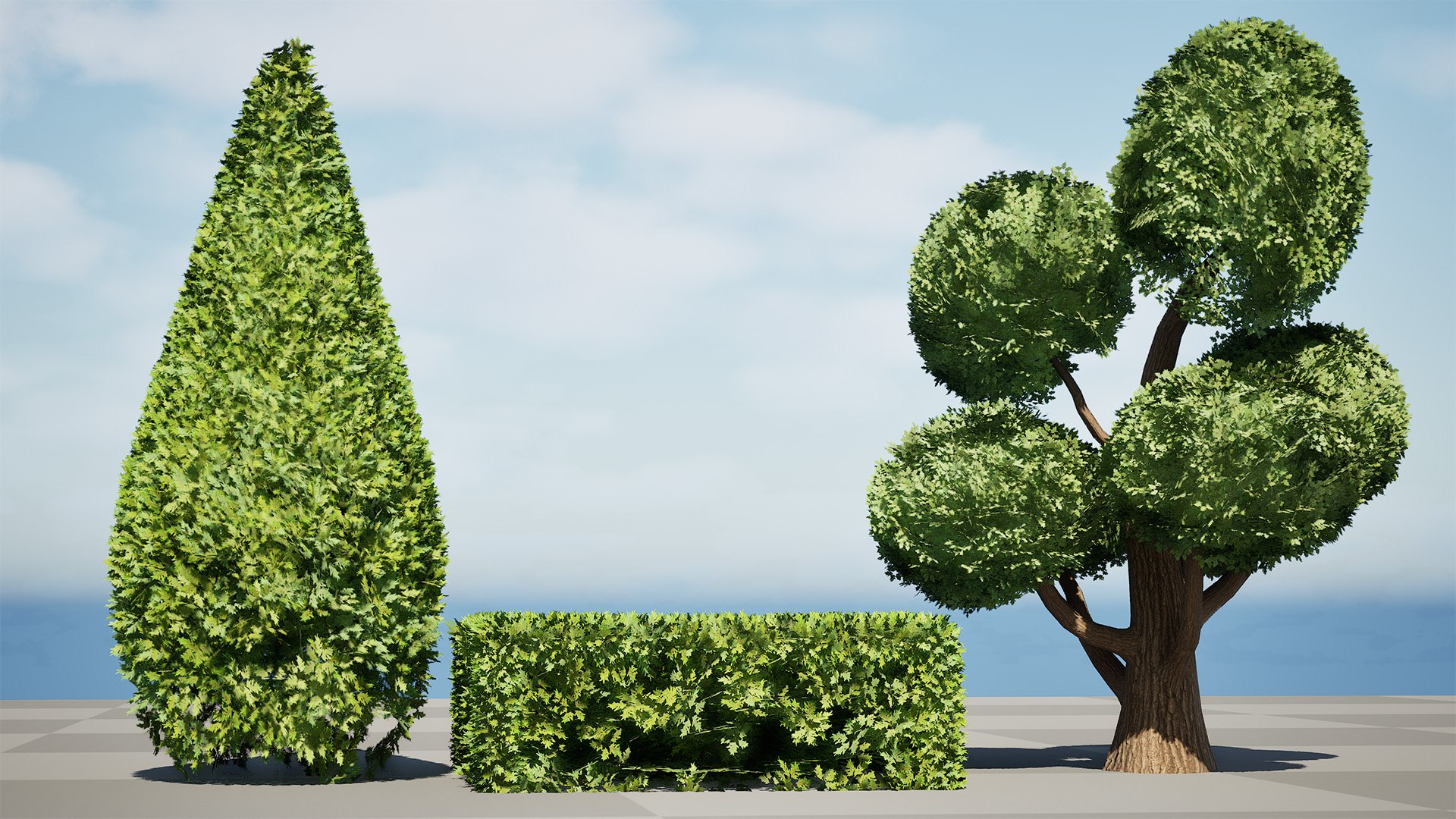 Detailed Conifer Lush Bush Model - TurboSquid 2317034