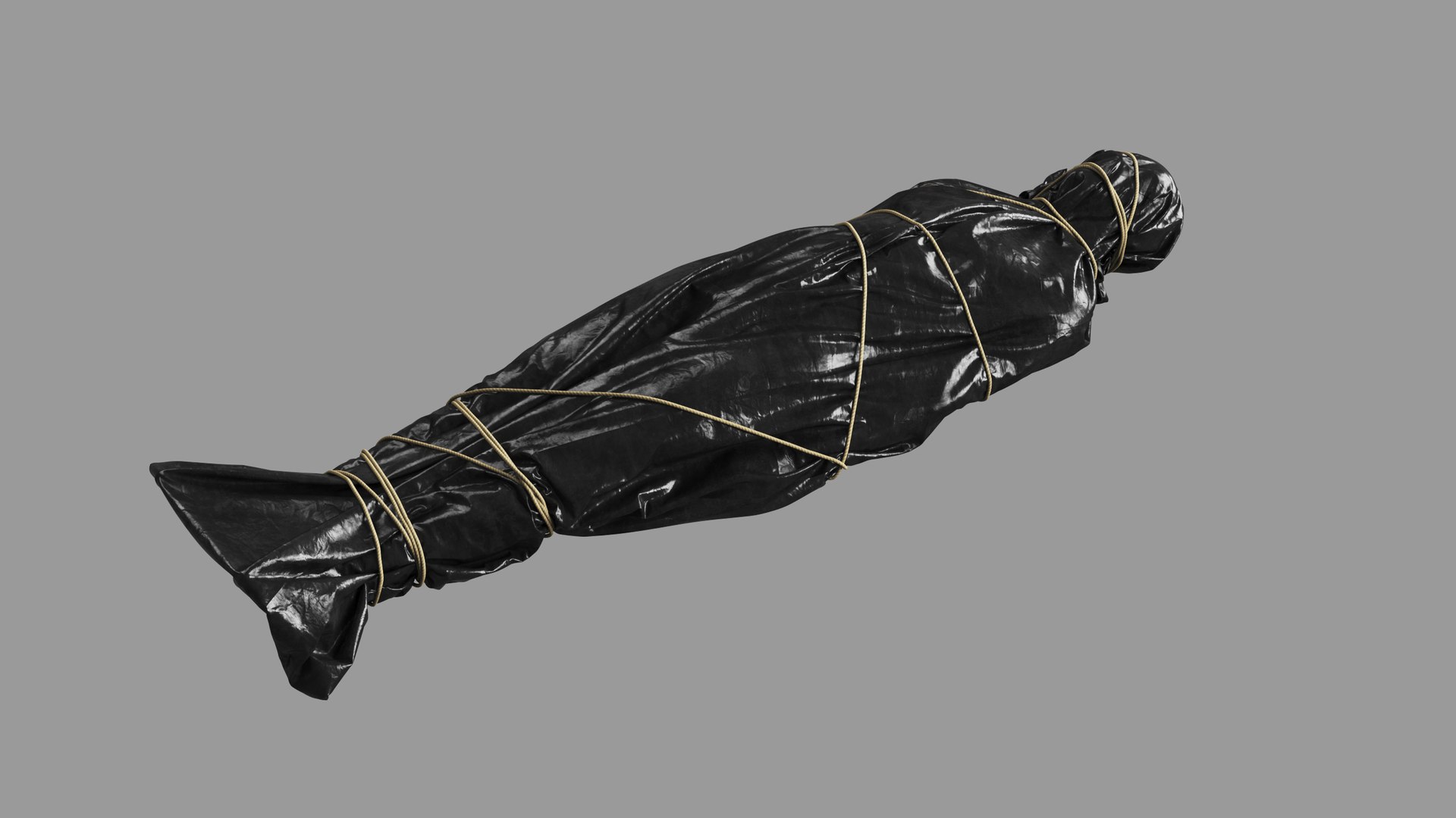 3D Covered Corpse 08 B Model - TurboSquid 2368197