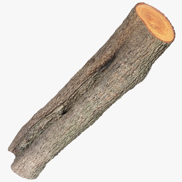 Log 3D Models for Download | TurboSquid