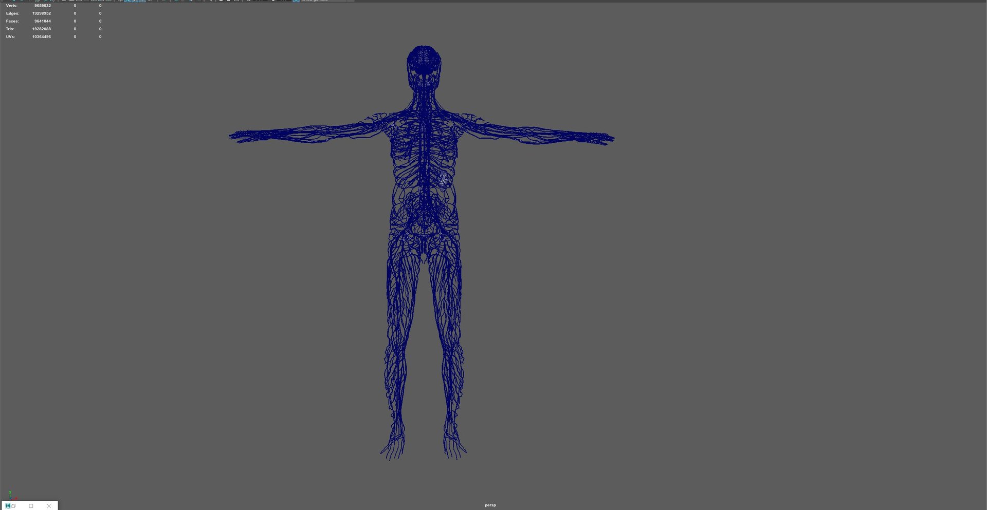 Human Anatomy System Model - TurboSquid 1834783