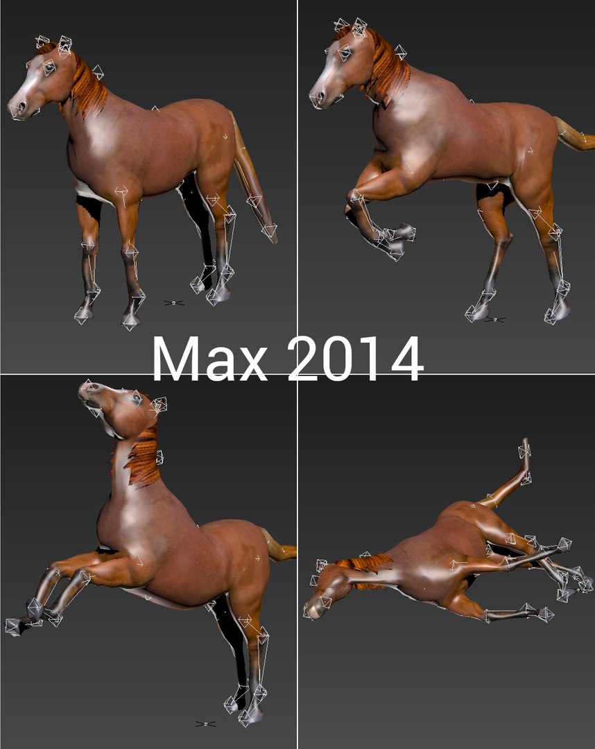 3D Horse Animation - TurboSquid 1221704