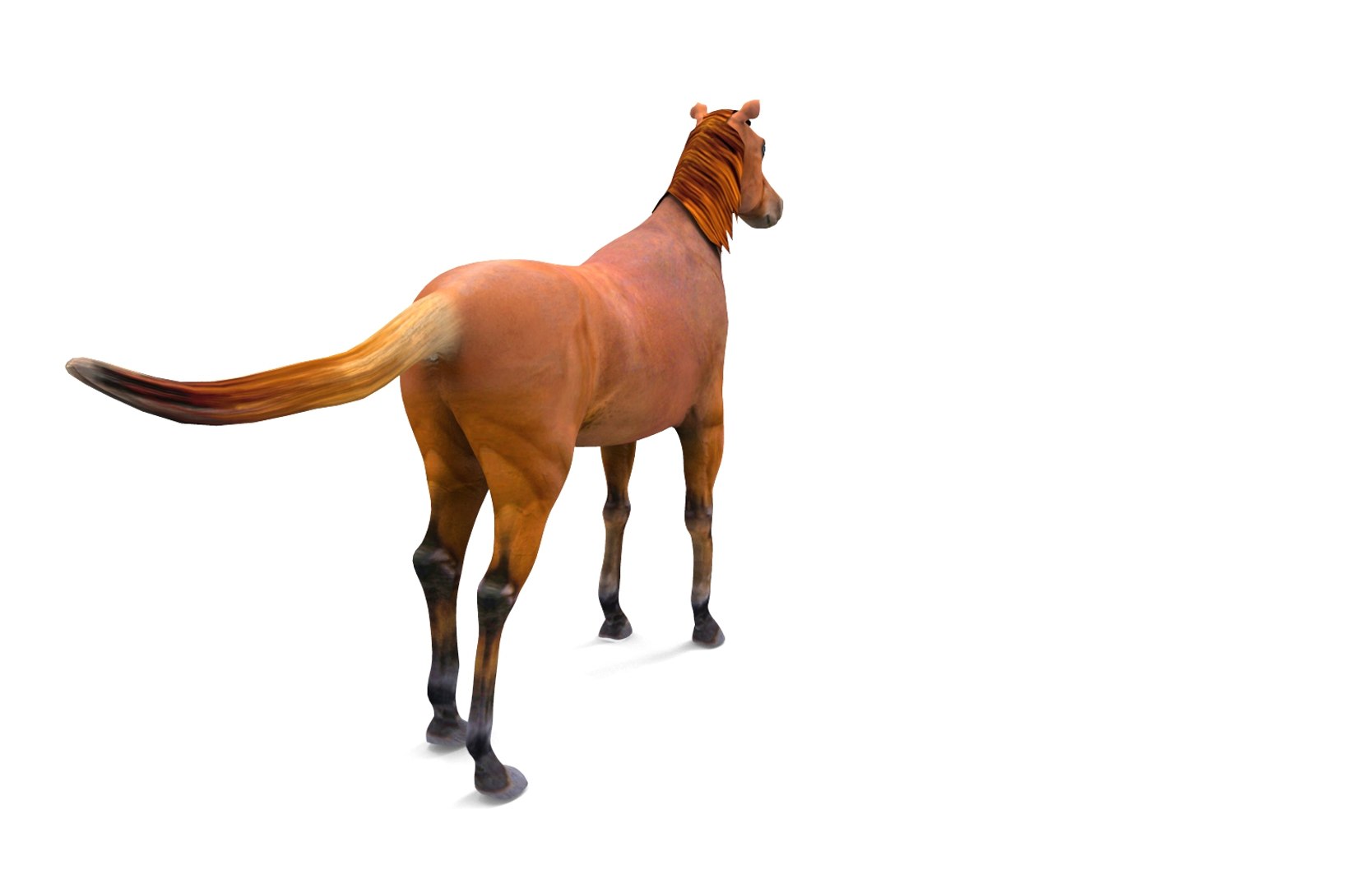 3D Horse Animation - TurboSquid 1221704