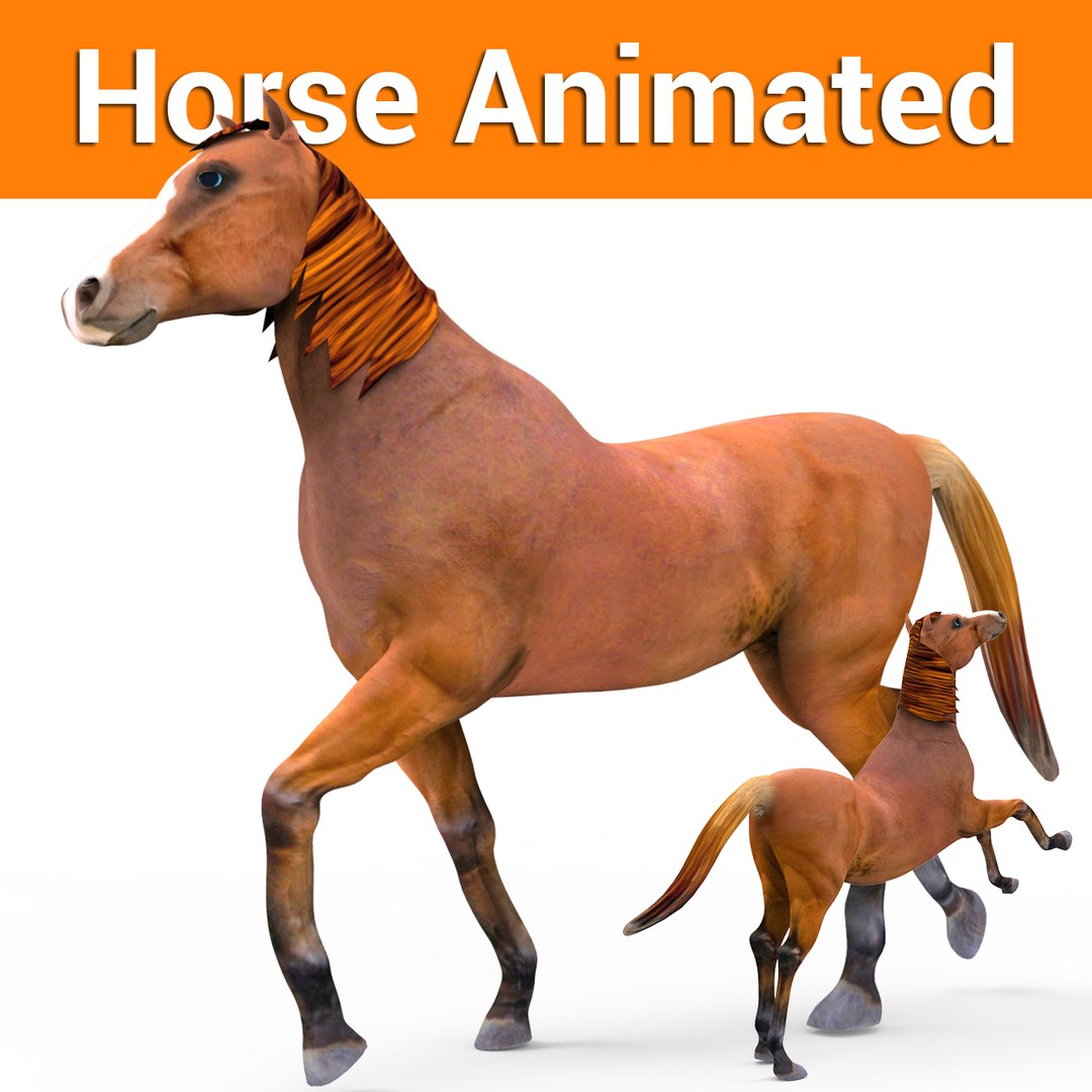 3D Horse Animation - TurboSquid 1221704