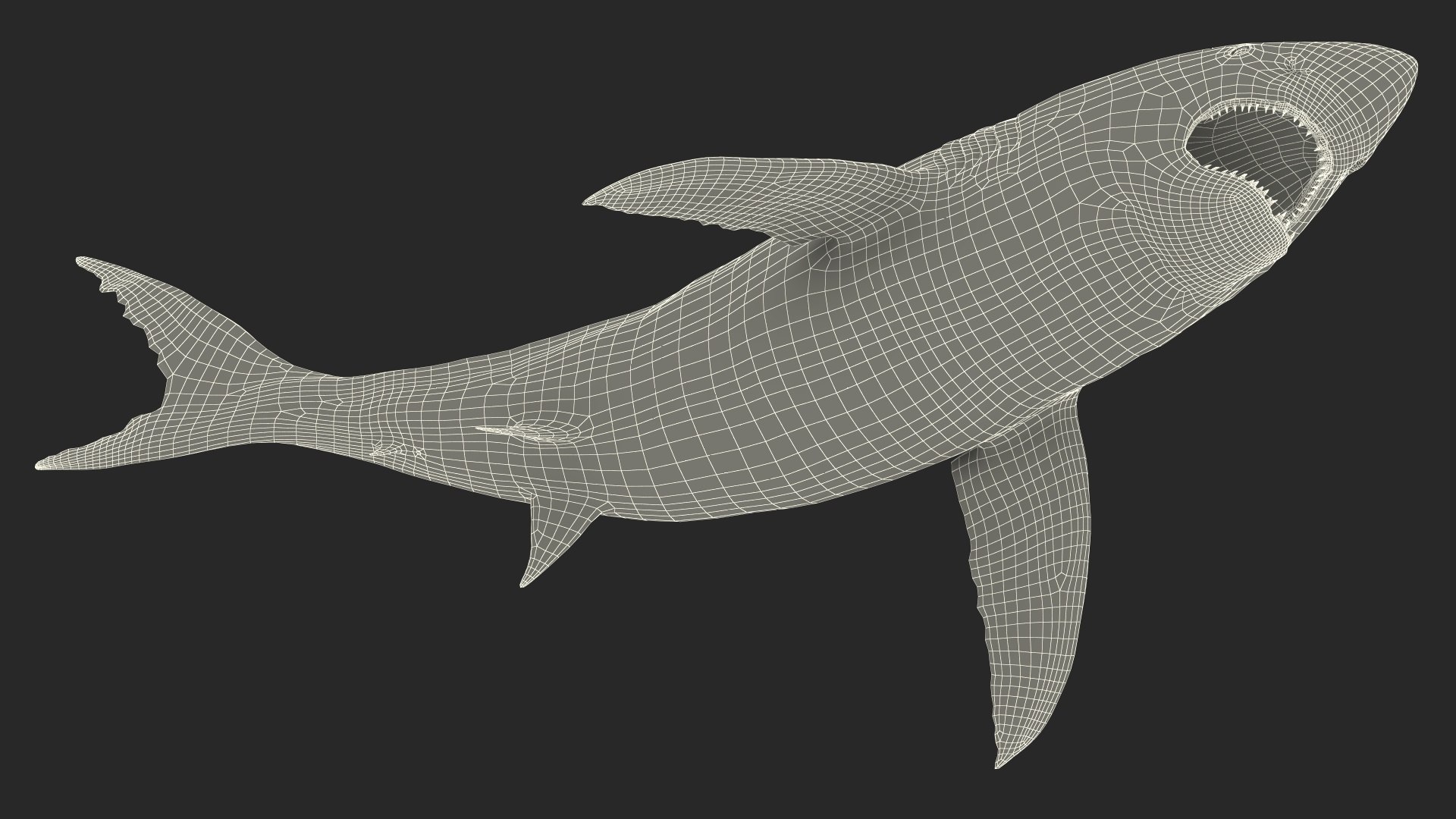 Great White Shark Blood Stained With Open Mouth 3D - TurboSquid 2140329