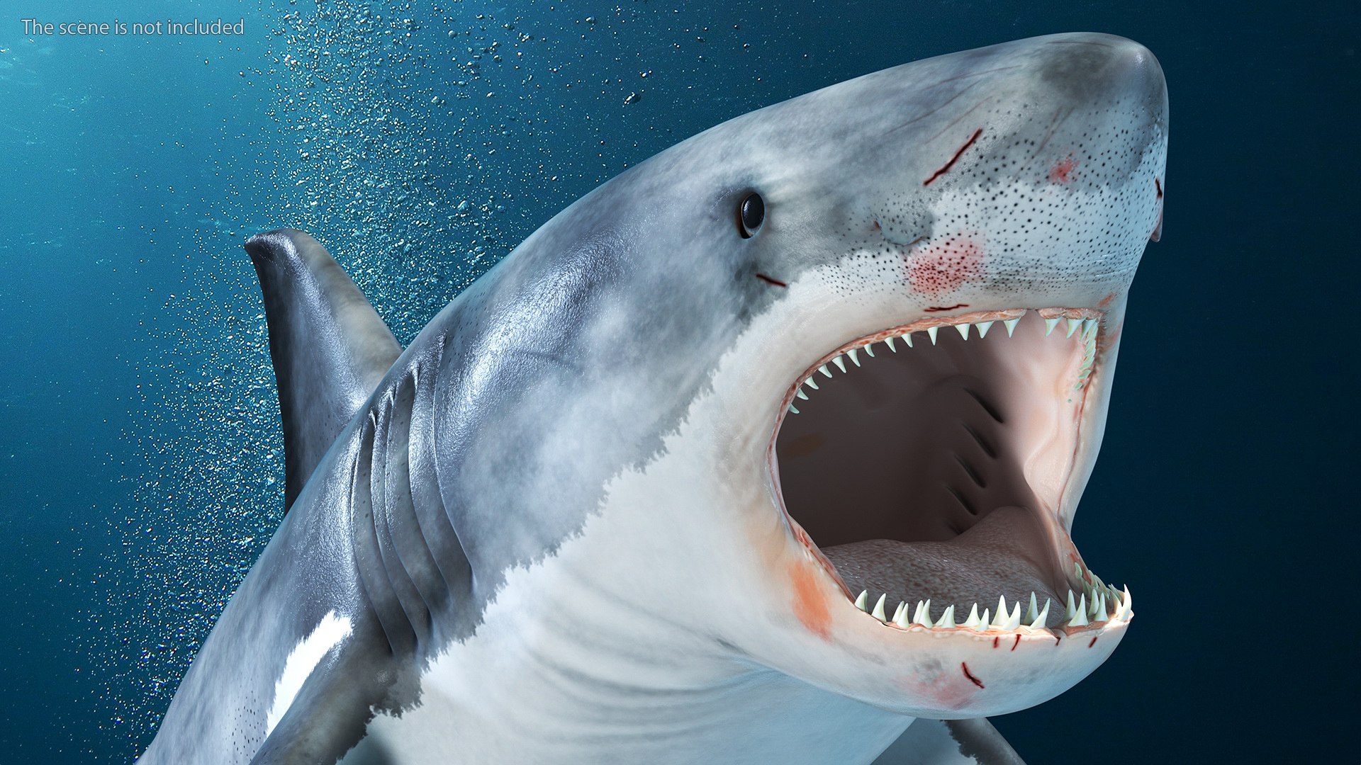 Great White Shark Blood Stained With Open Mouth 3D - TurboSquid 2140329