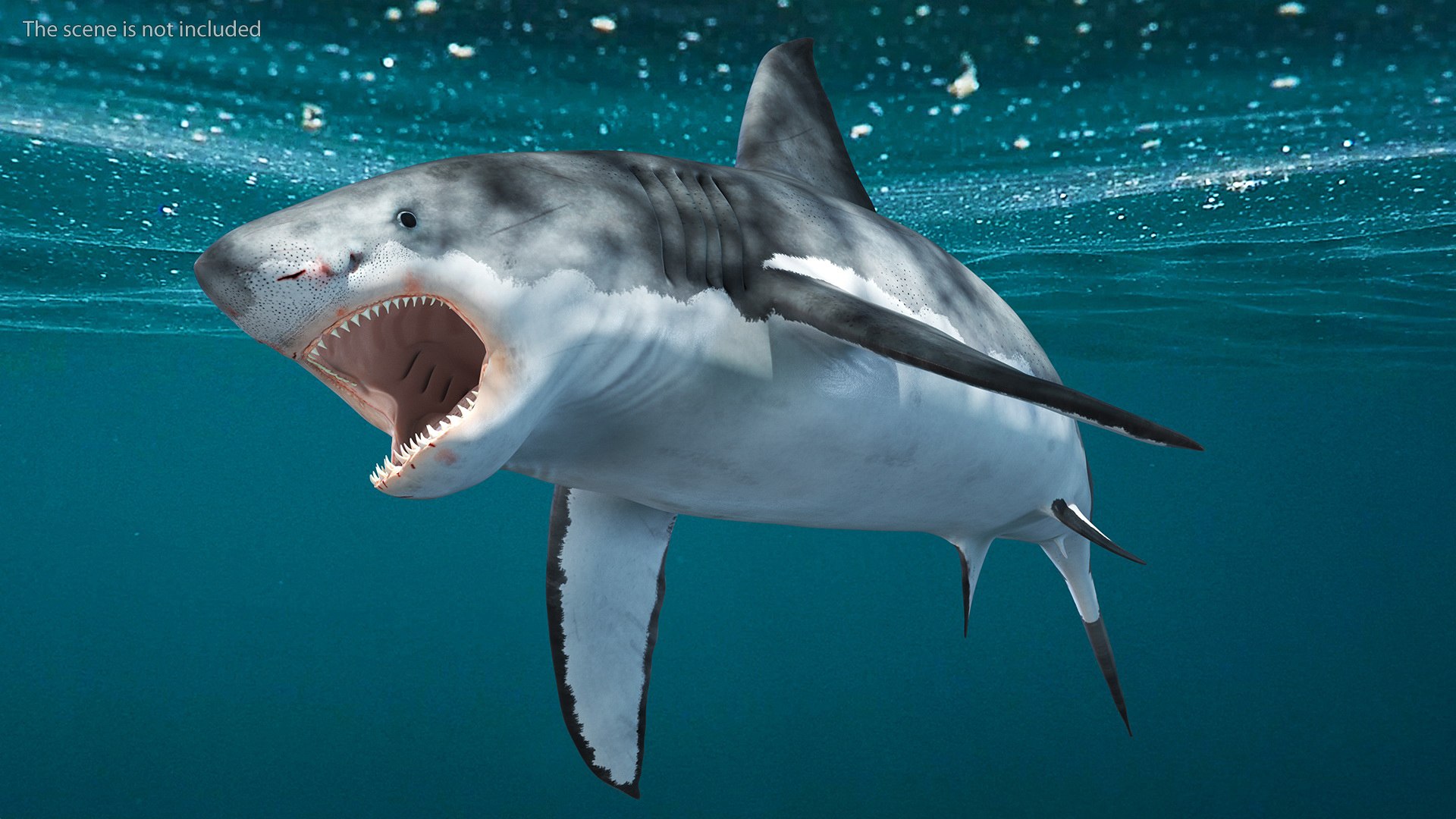 Great White Shark Blood Stained With Open Mouth 3D - TurboSquid 2140329