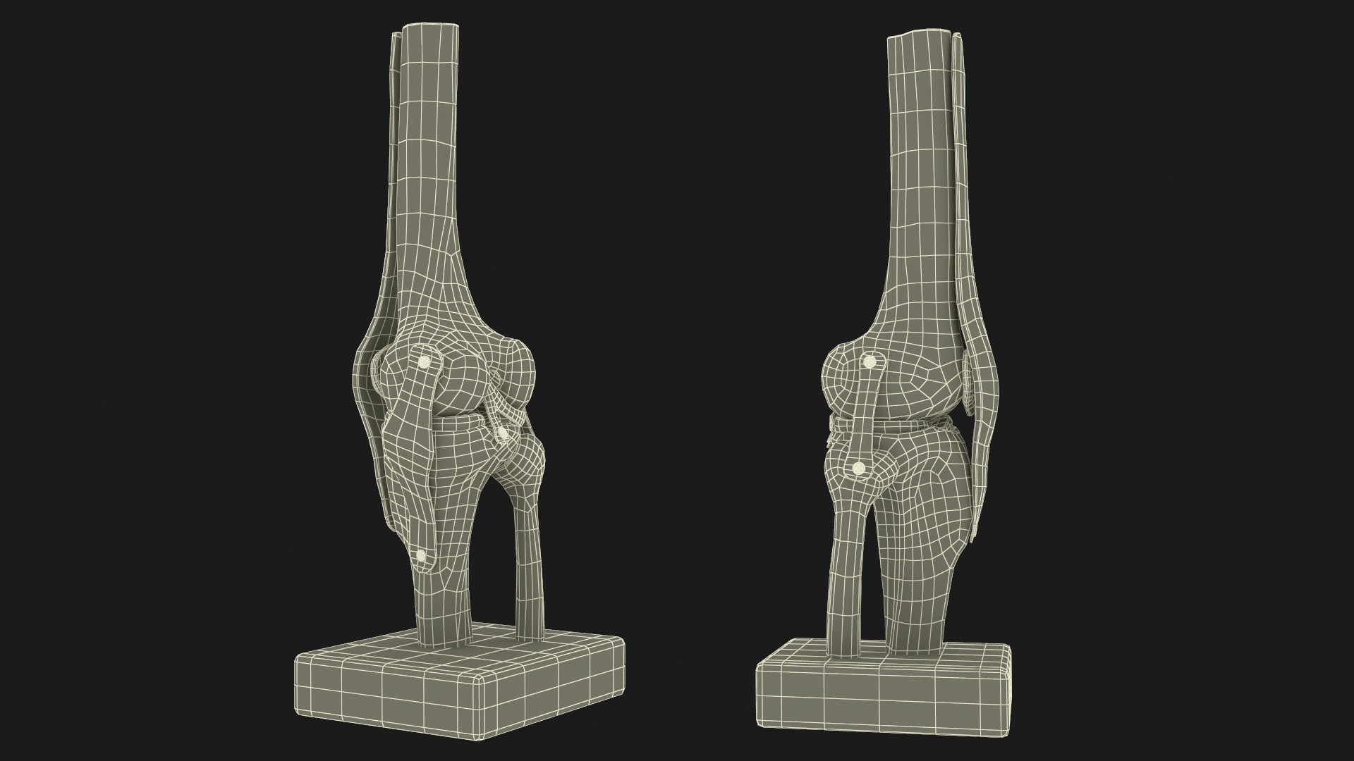 3D Anatomical Model Of Knee Joint Model - TurboSquid 2279778