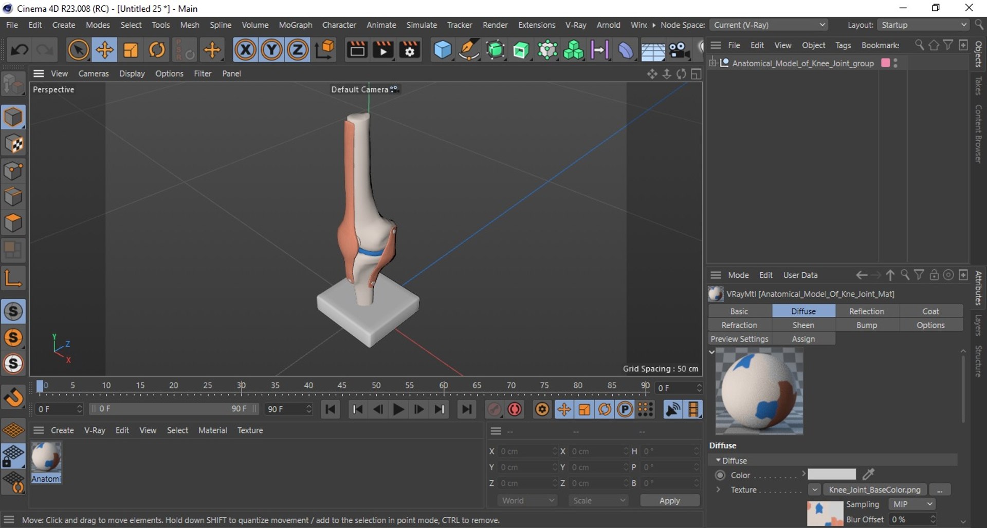 3D Anatomical Model Of Knee Joint Model - TurboSquid 2279778