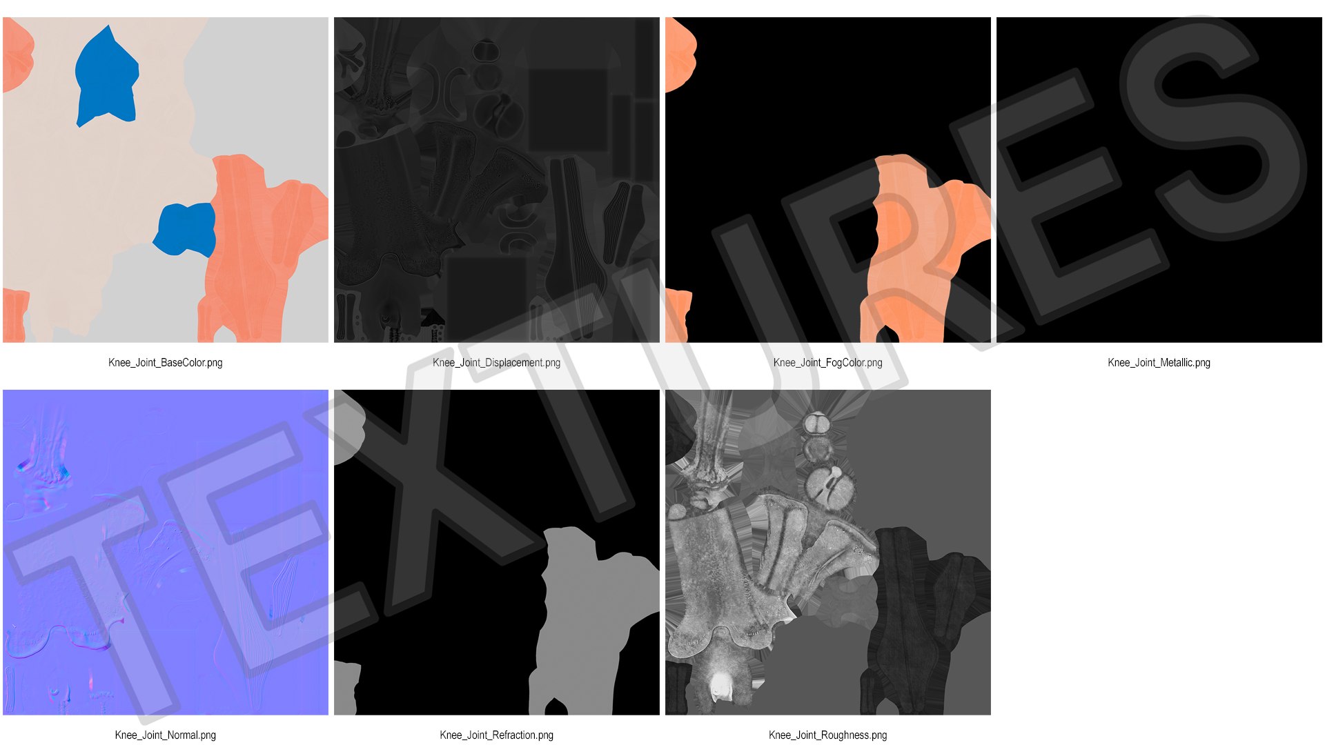 3D Anatomical Model Of Knee Joint Model - TurboSquid 2279778