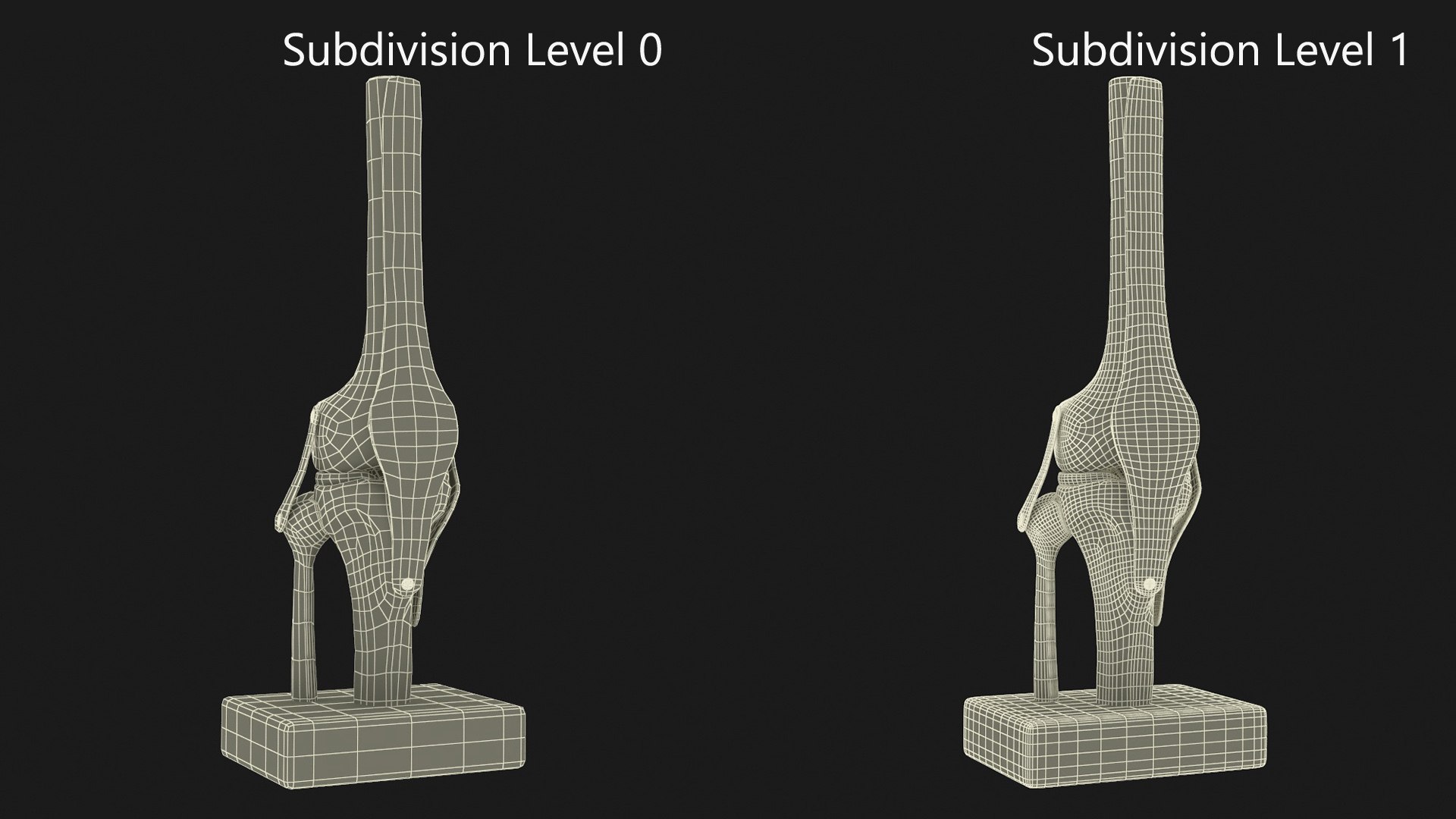 3D Anatomical Model Of Knee Joint Model - TurboSquid 2279778