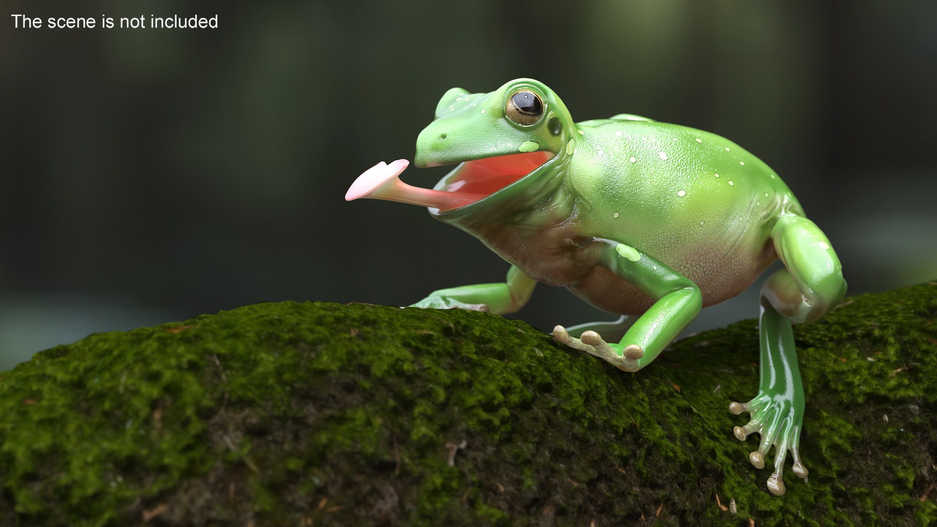 3D Realistic Australian Green Frog Rigged For Cinema 4D - TurboSquid ...