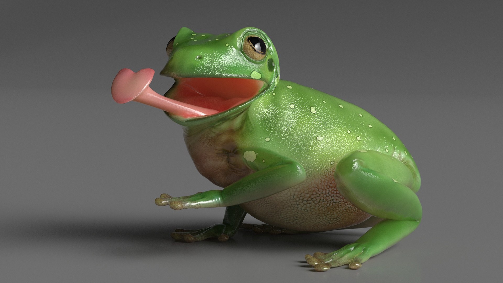 3D Realistic Australian Green Frog Rigged For Cinema 4D - TurboSquid ...
