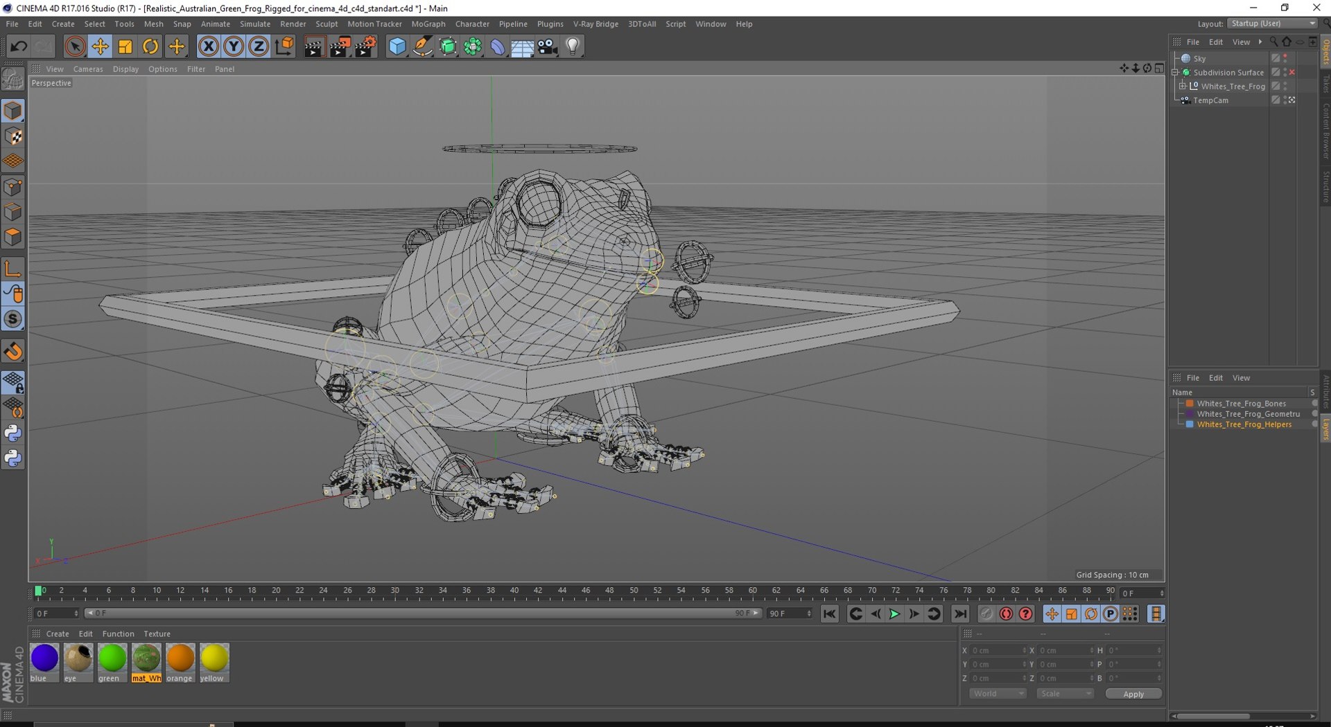 3D Realistic Australian Green Frog Rigged For Cinema 4D - TurboSquid ...