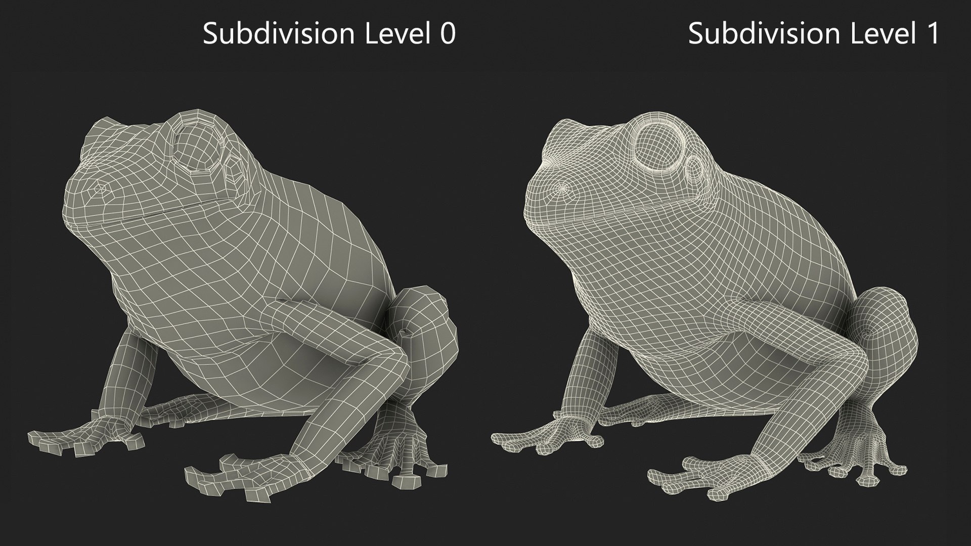 3D Realistic Australian Green Frog Rigged For Cinema 4D - TurboSquid ...