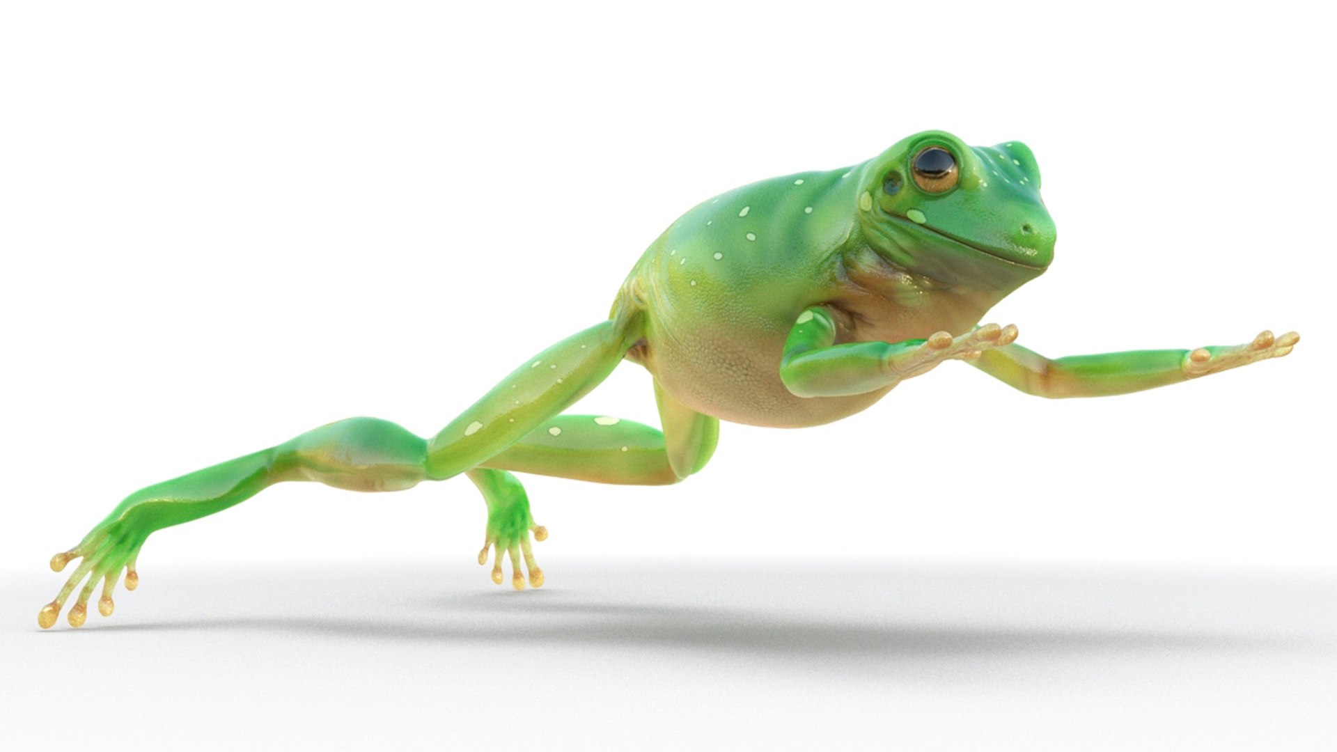 3D Realistic Australian Green Frog Rigged For Cinema 4D - TurboSquid ...