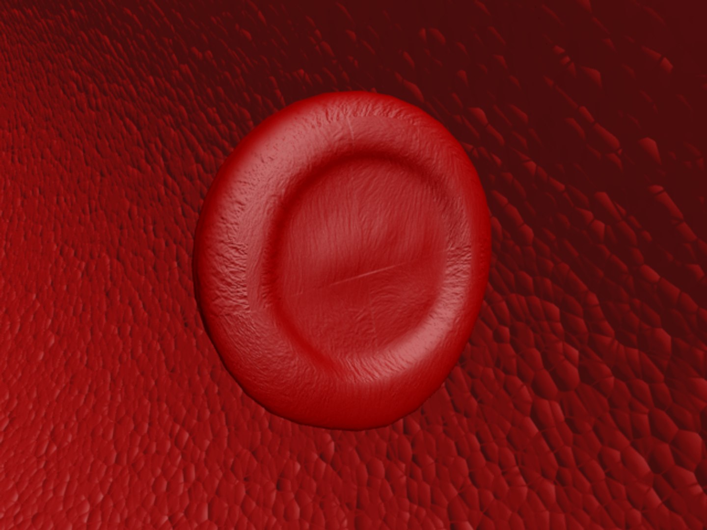 3d Red Blood Cells Model