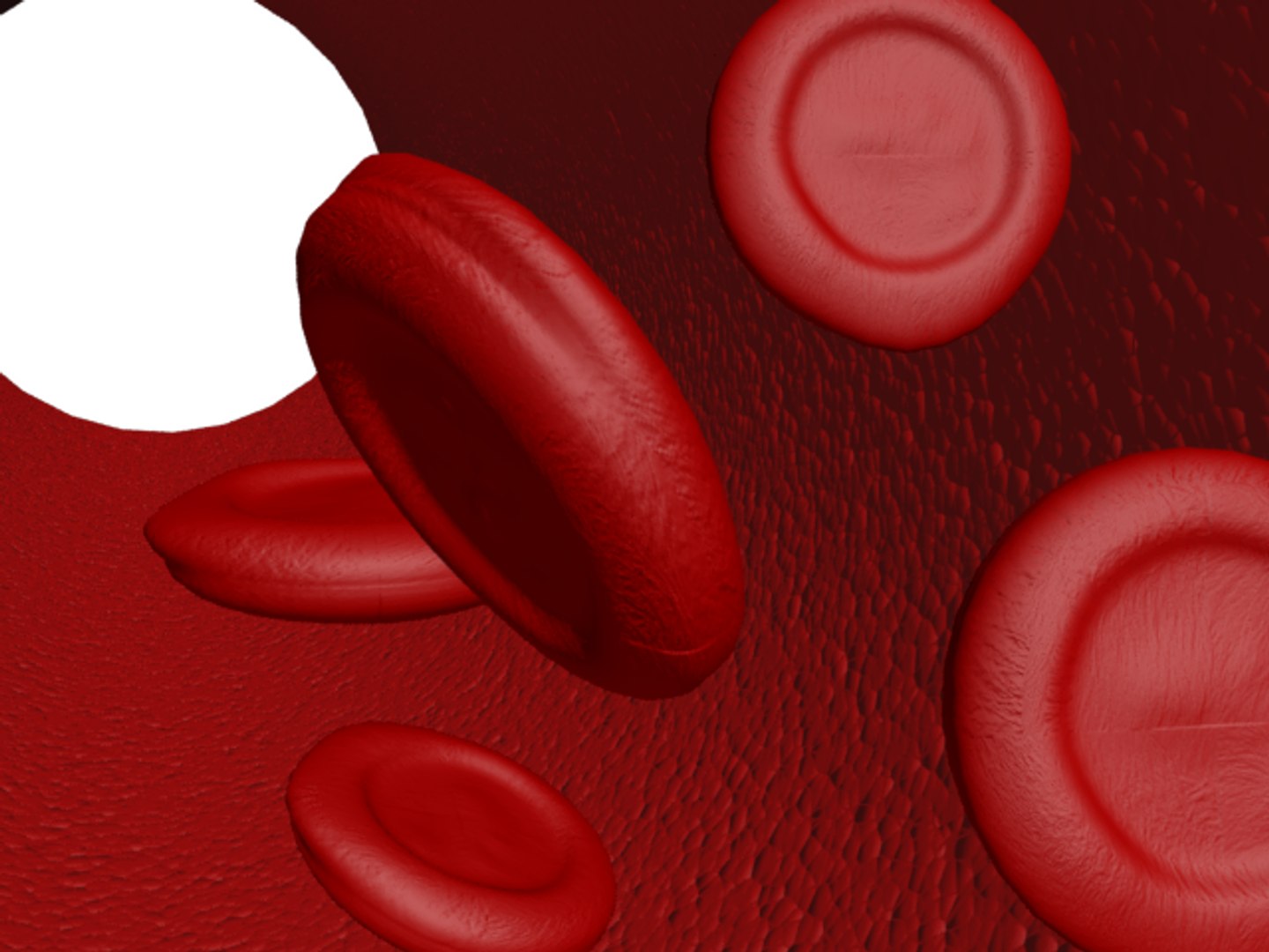 3d Red Blood Cells Model