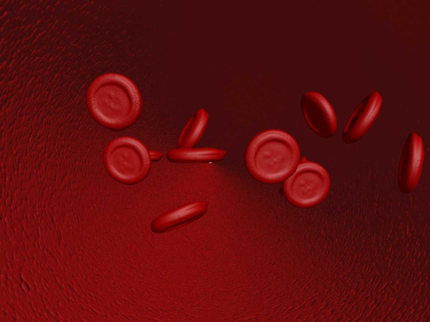 3d Red Blood Cells Model