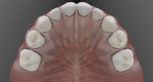 3D baby mouth model - TurboSquid 1170631