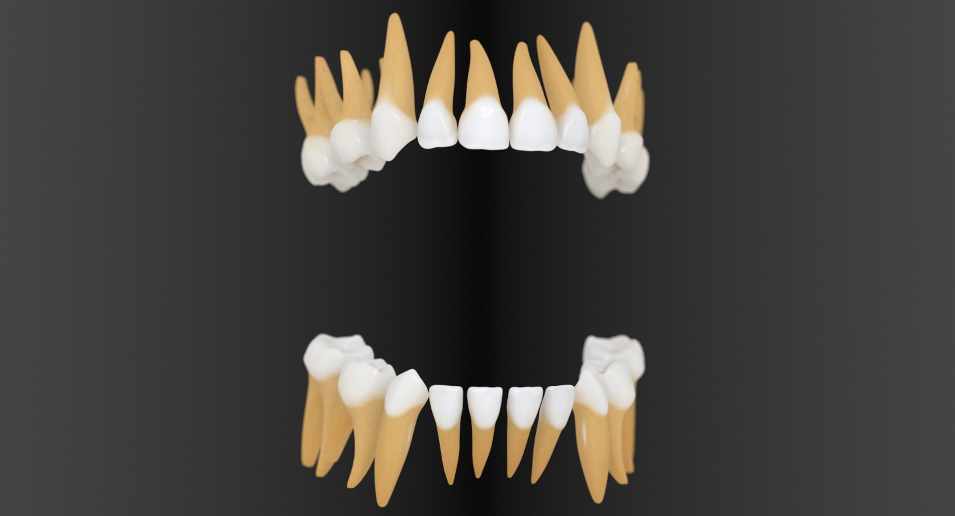 3D Baby Mouth Model - TurboSquid 1170631