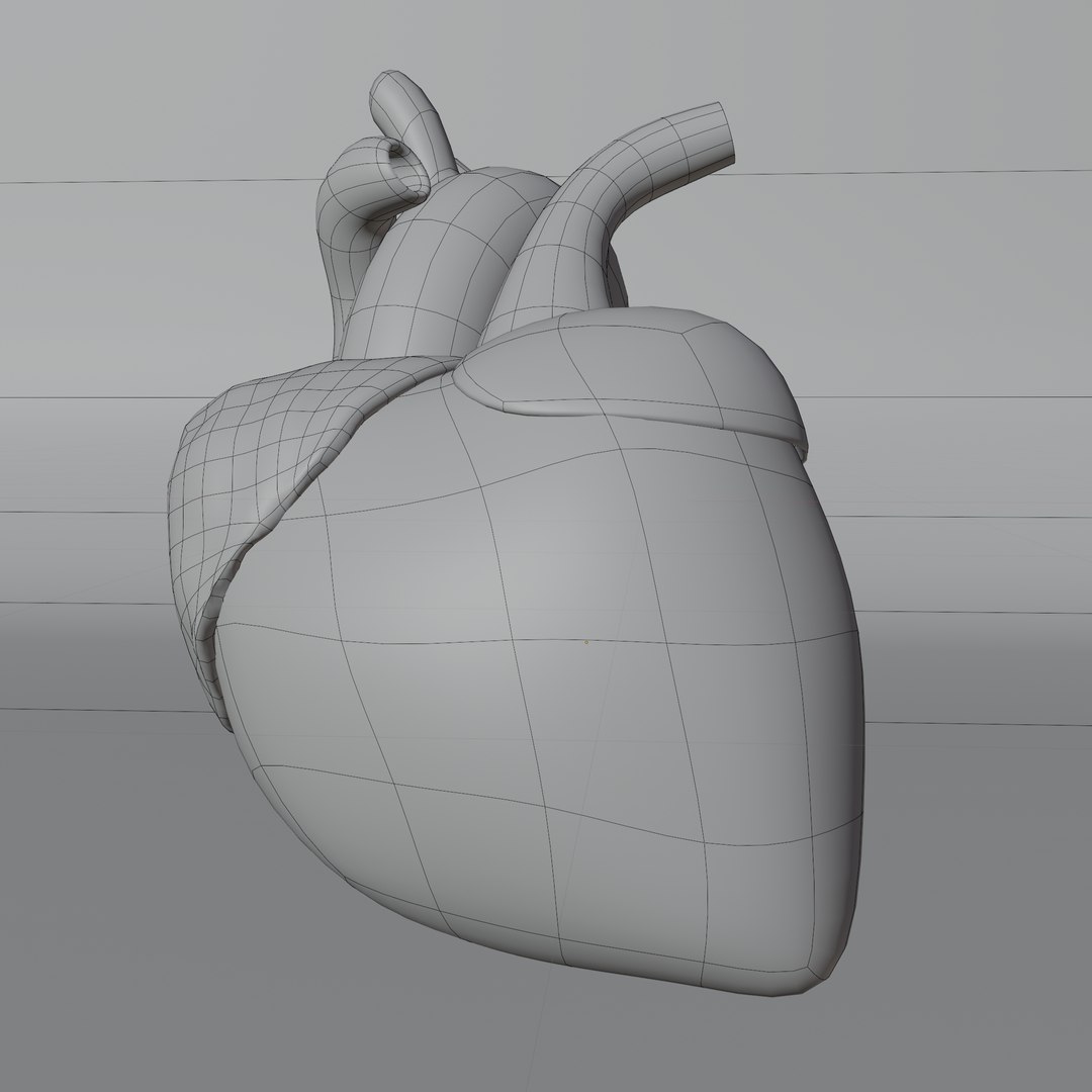 3D Model Low-Poly Human Heart Model - TurboSquid 2124563