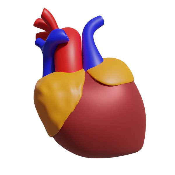 modelo 3d Modelo de corazón humano de baja poli - TurboSquid 2124563