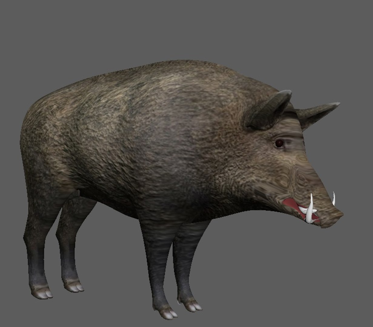 3D Model Wild Boar - TurboSquid 1262432