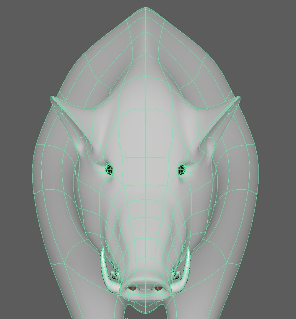 3D Model Wild Boar - TurboSquid 1262432