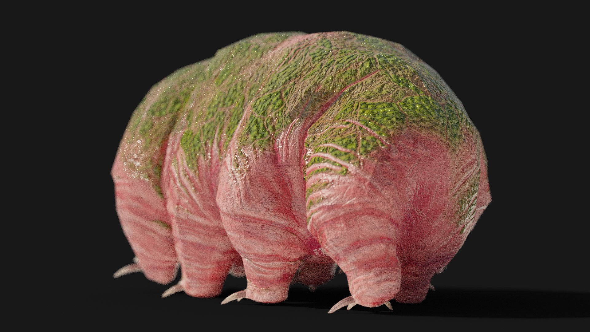 Tardigrade Waterbear Monster 3D Model - TurboSquid 1691666