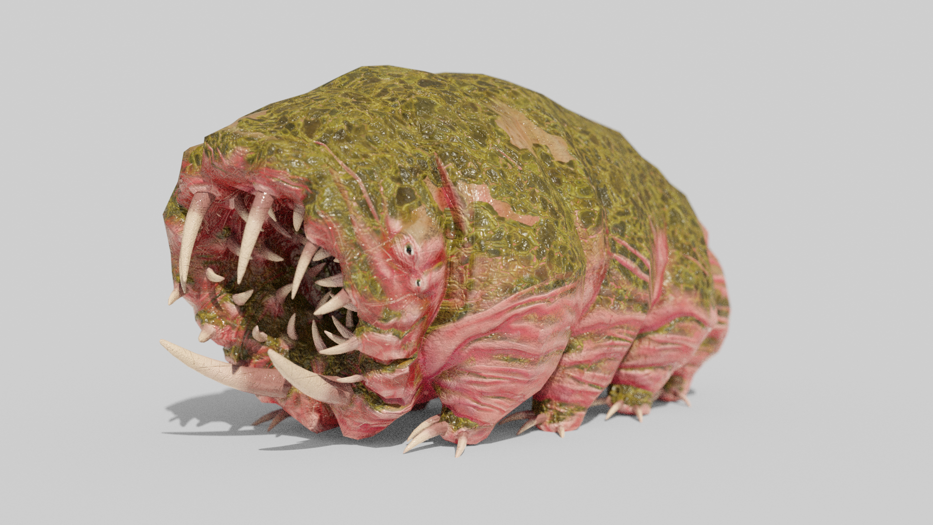 Tardigrade Waterbear Monster 3D Model - TurboSquid 1691666