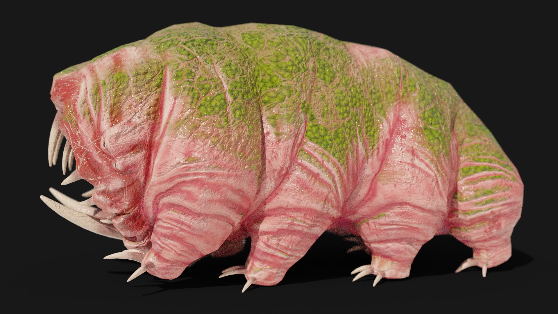 Tardigrade Waterbear Monster 3D Model - TurboSquid 1691666