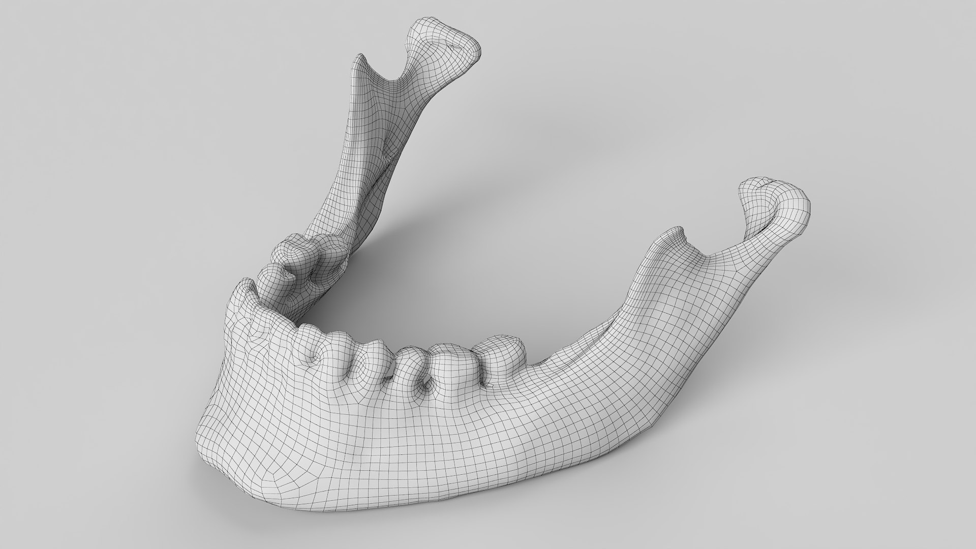 3D Human Lower Jaw 01 - TurboSquid 2147699