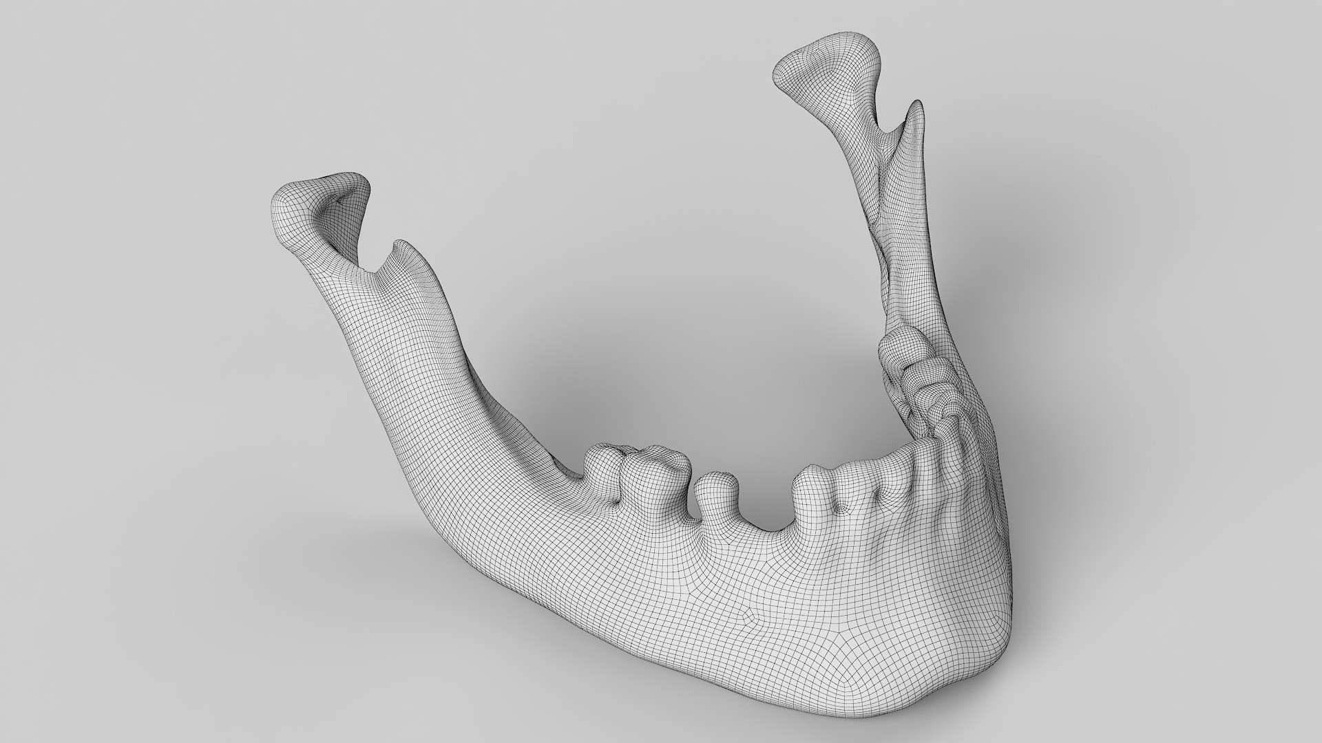3D Human Lower Jaw 01 - TurboSquid 2147699