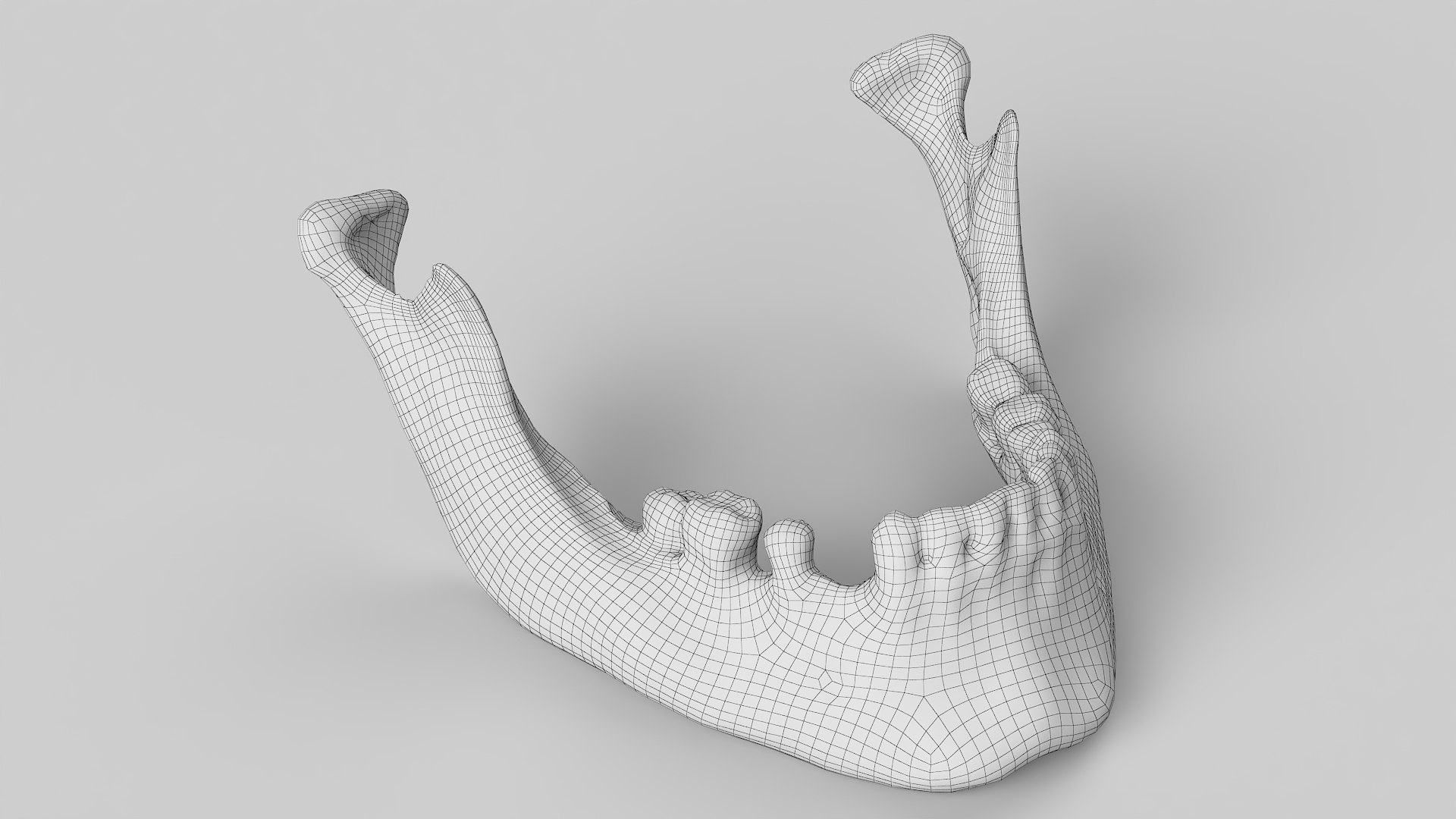 3D Human Lower Jaw 01 - TurboSquid 2147699