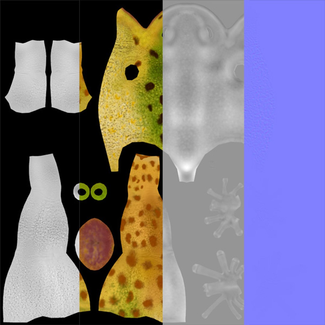 Poison Dart Frog 3d Model