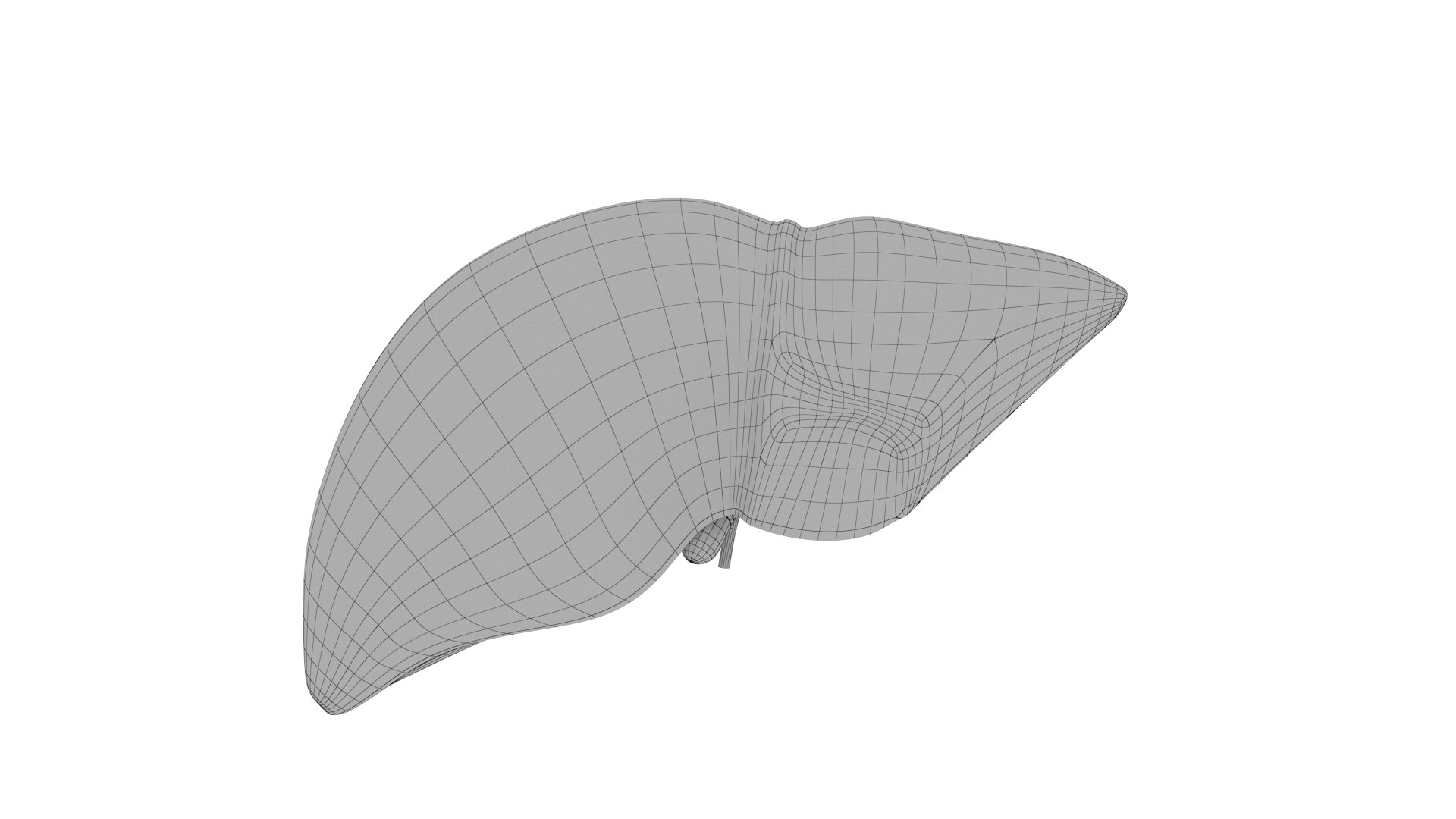 Liver 3D - TurboSquid 2190917