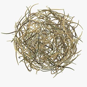 3D Tumbleweed Models - Browse & Download Formats - TurboSquid