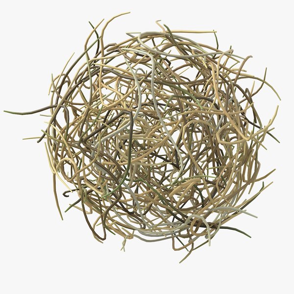 Tumbleweed 3D Models for Download | TurboSquid